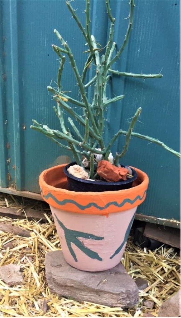 21. Motherlode: Free Gifts from Our Mother Earth – New Stuff Sucks